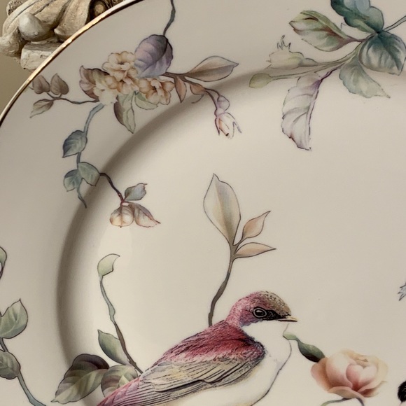Grace Teaware | Dining | Grace Teaware Spring Garden Birds Dinner ...